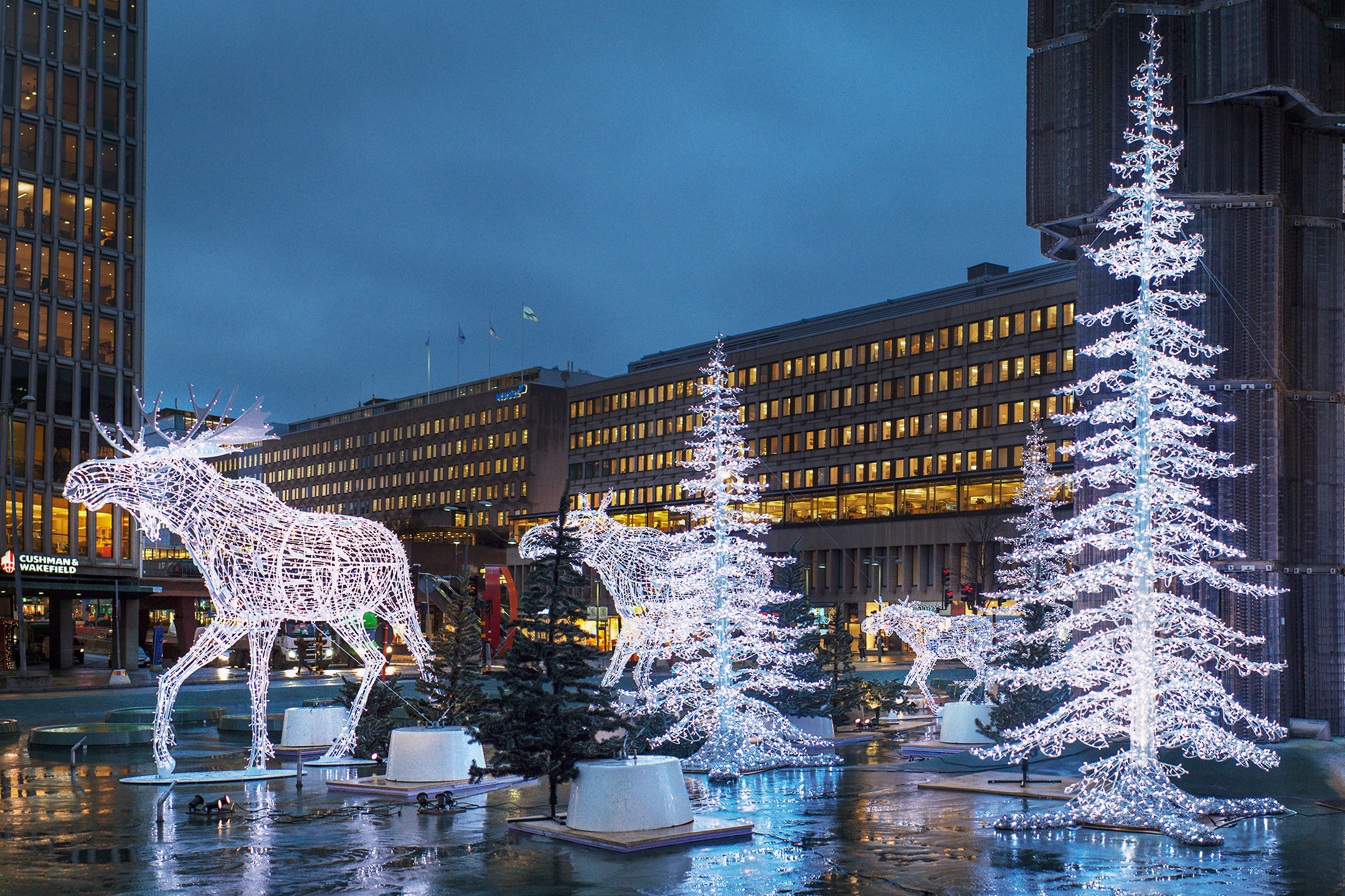 Älgarna demonstrerar i LED-ljus - Elinstallatören