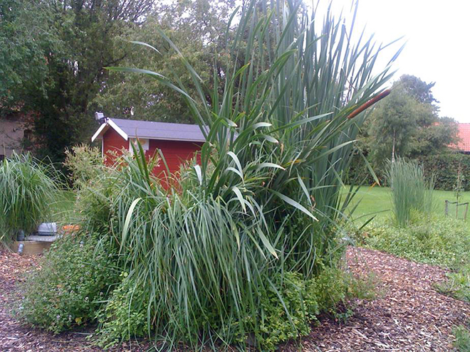 Pris till grön reningsteknik för små avlopp - VVS-Forum